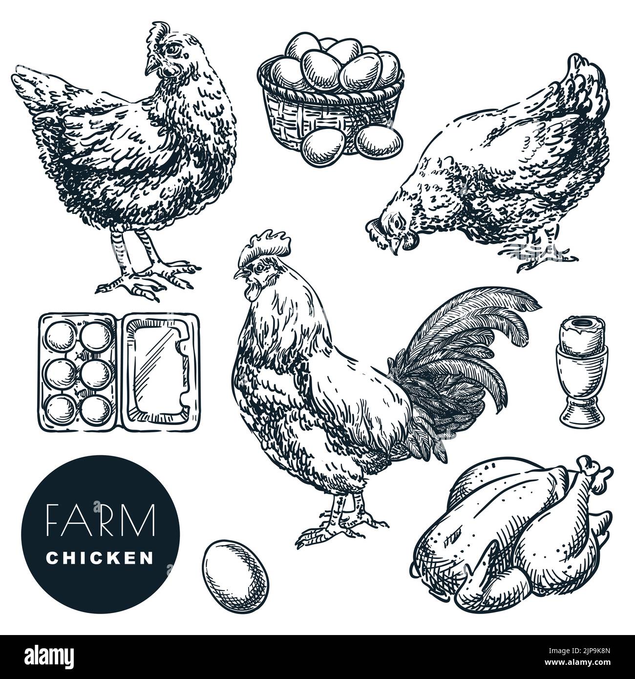 Poultry farm design elements. Hen, rooster and eggs isolated on white ...