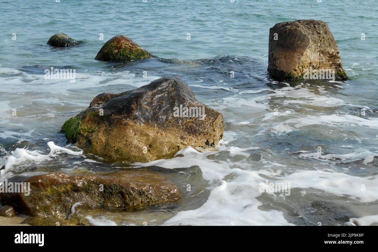 Formation of microorganisms hi-res stock photography and images - Alamy