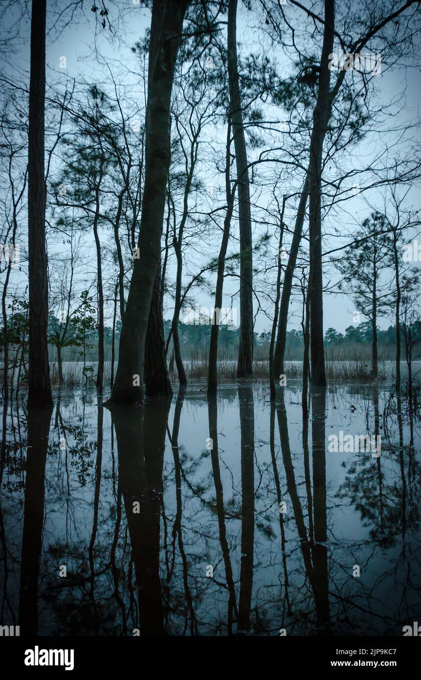 Water soaked hi-res stock photography and images - Alamy