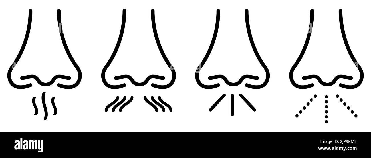 Nose icon set. Human nose symbols. Symbol for website design, logo, app ...