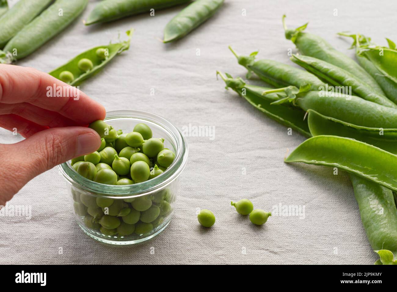 pea family, pea, pea families, peas Stock Photo - Alamy