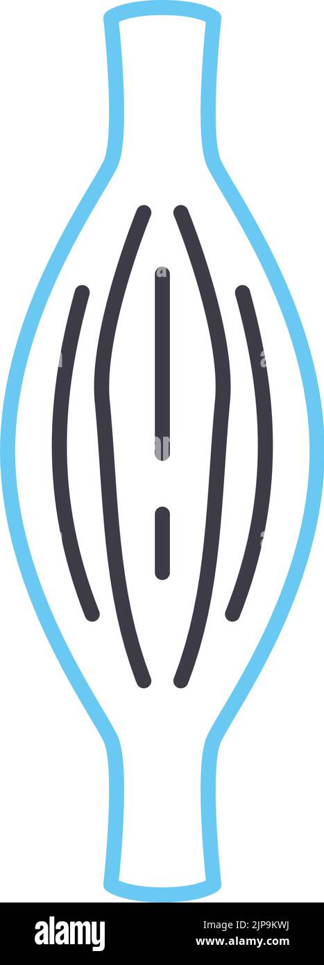 muscle line icon, outline symbol, vector illustration, concept sign ...