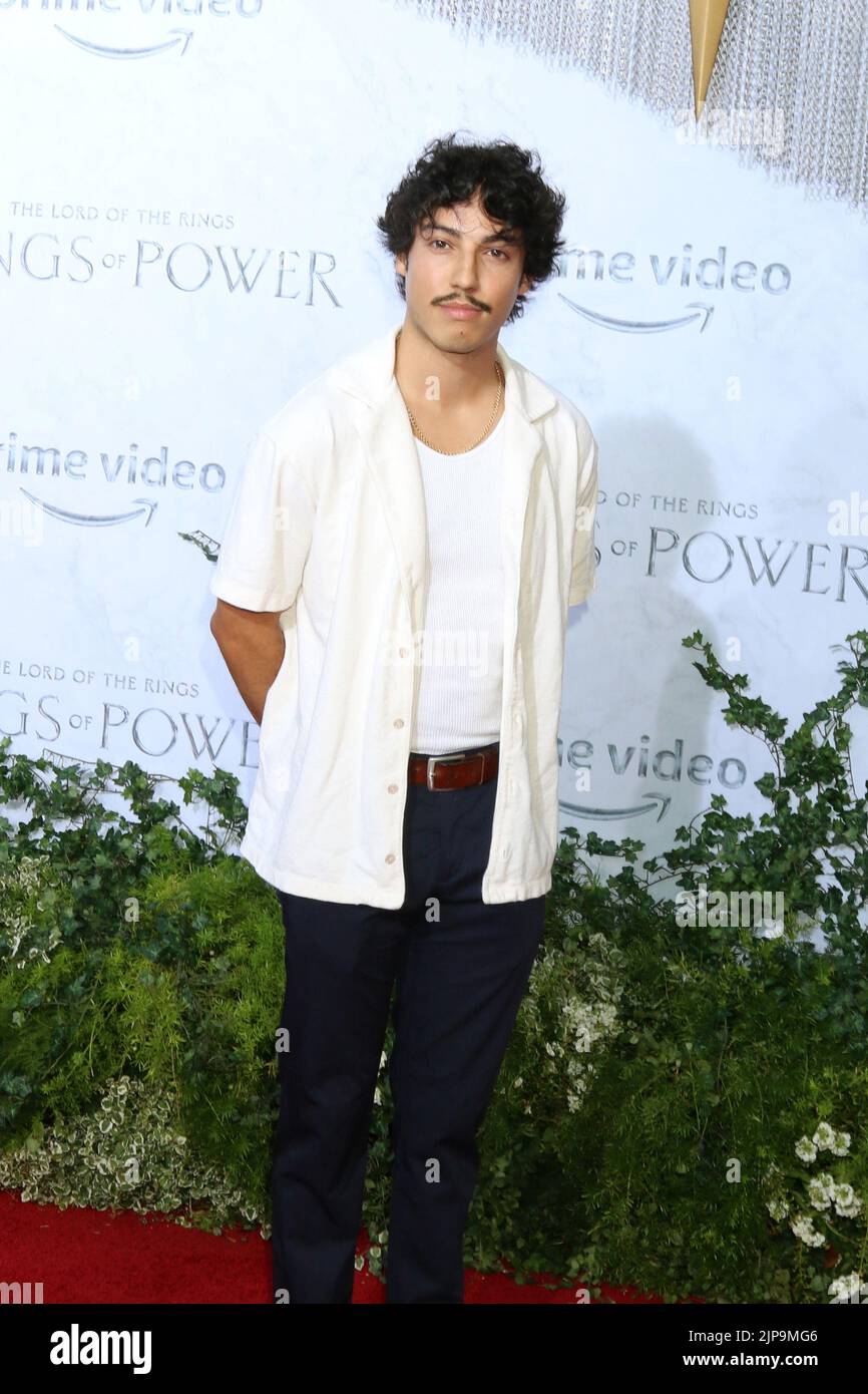 LOS ANGELES - AUG 15: Austin Martinez at the The Lord Of The Rings: The ...