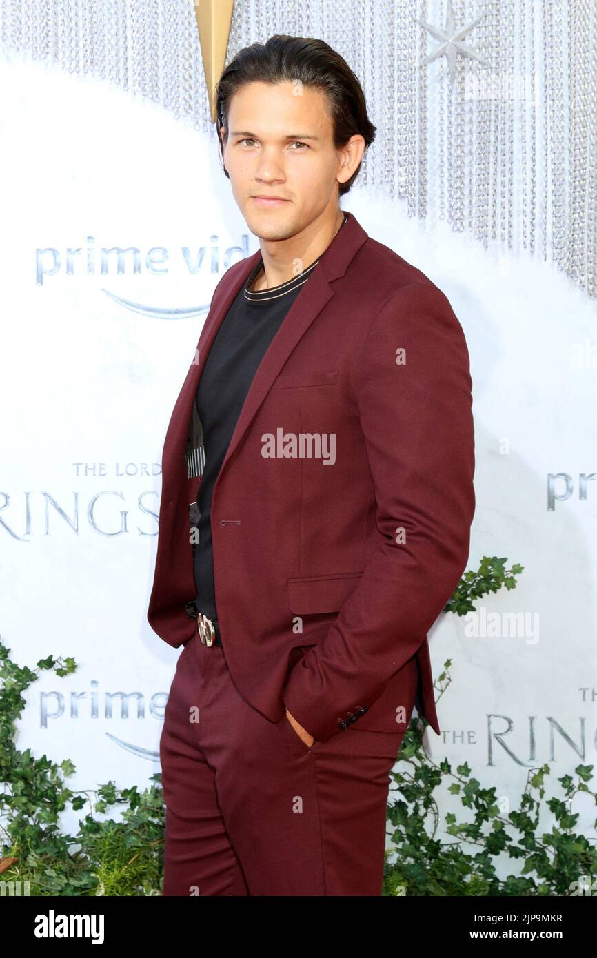 LOS ANGELES - AUG 15: David Gridley at the The Lord Of The Rings: The ...