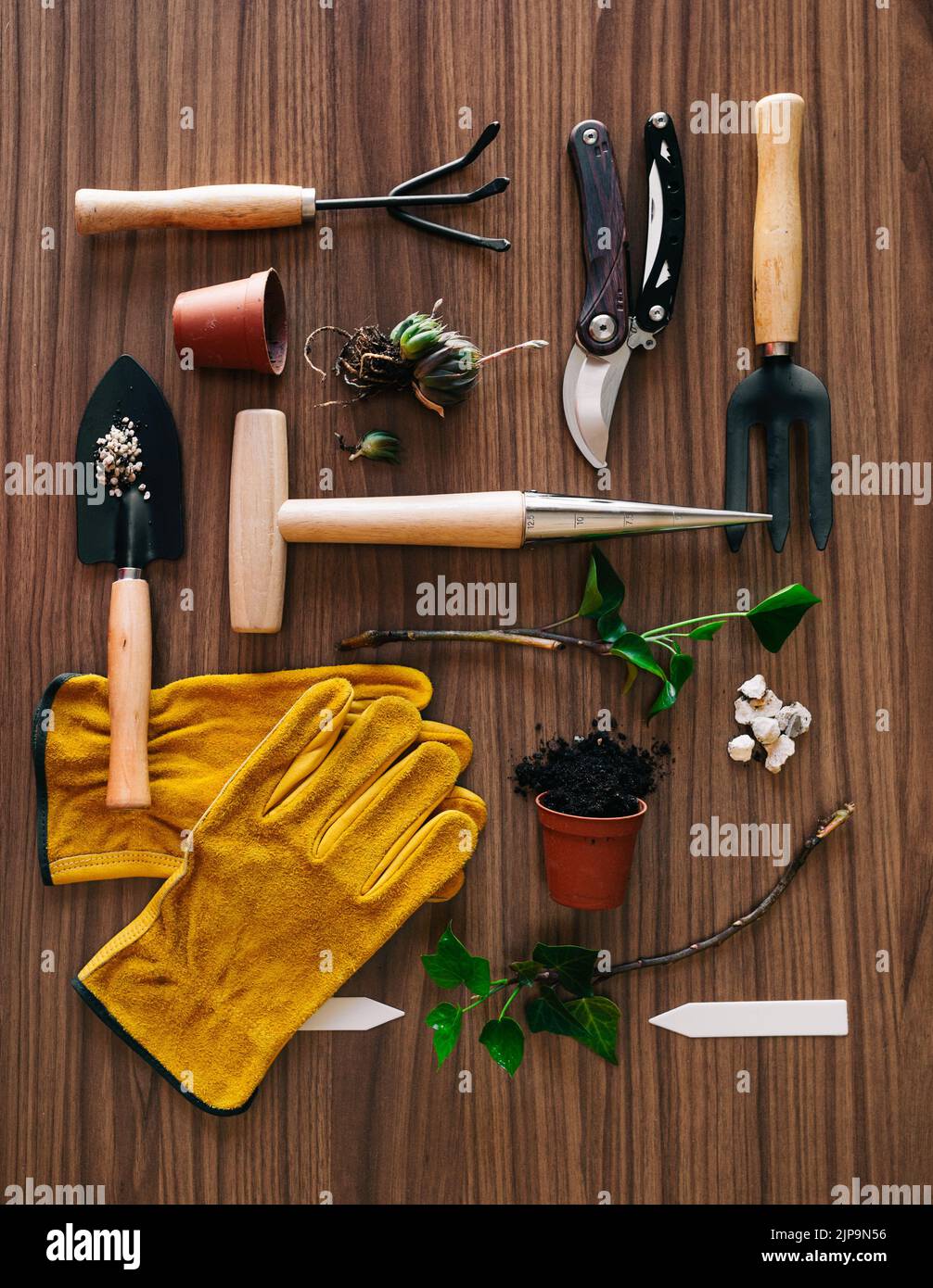 plant, multiply, garden tool, knolling, plants, multiplies, garden ...
