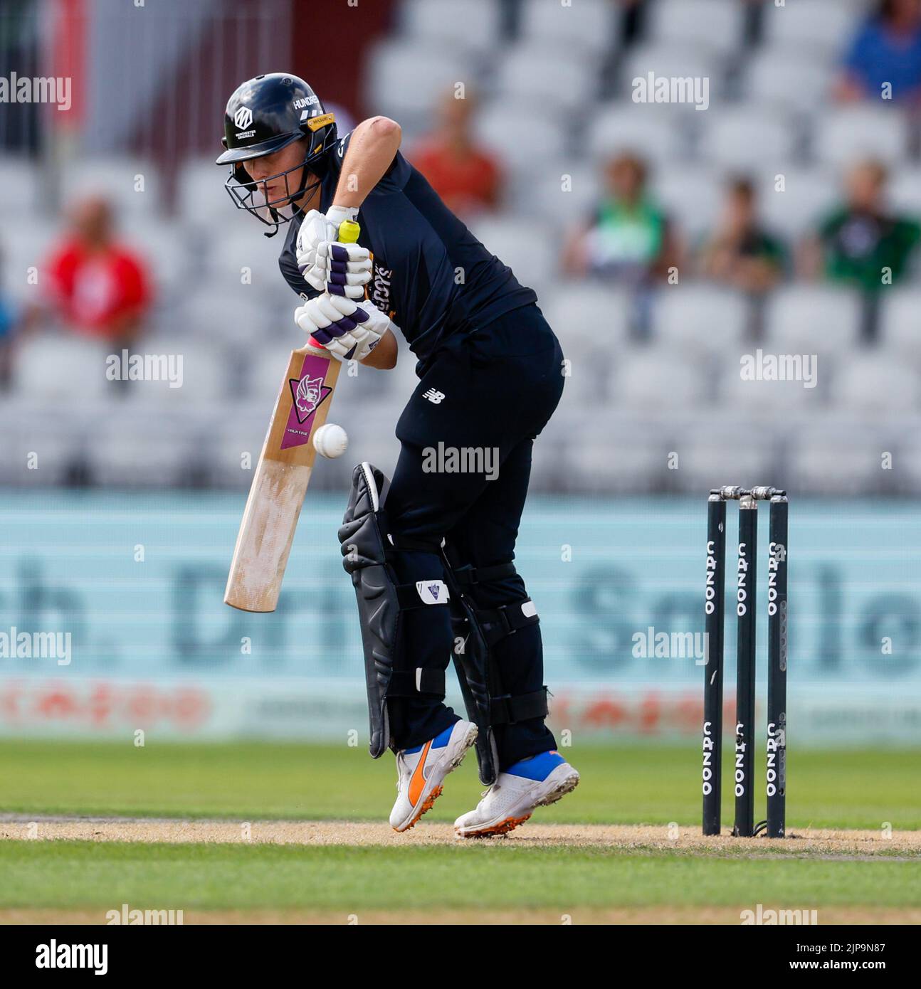 Cricket off side leg side hi-res stock photography and images - Alamy