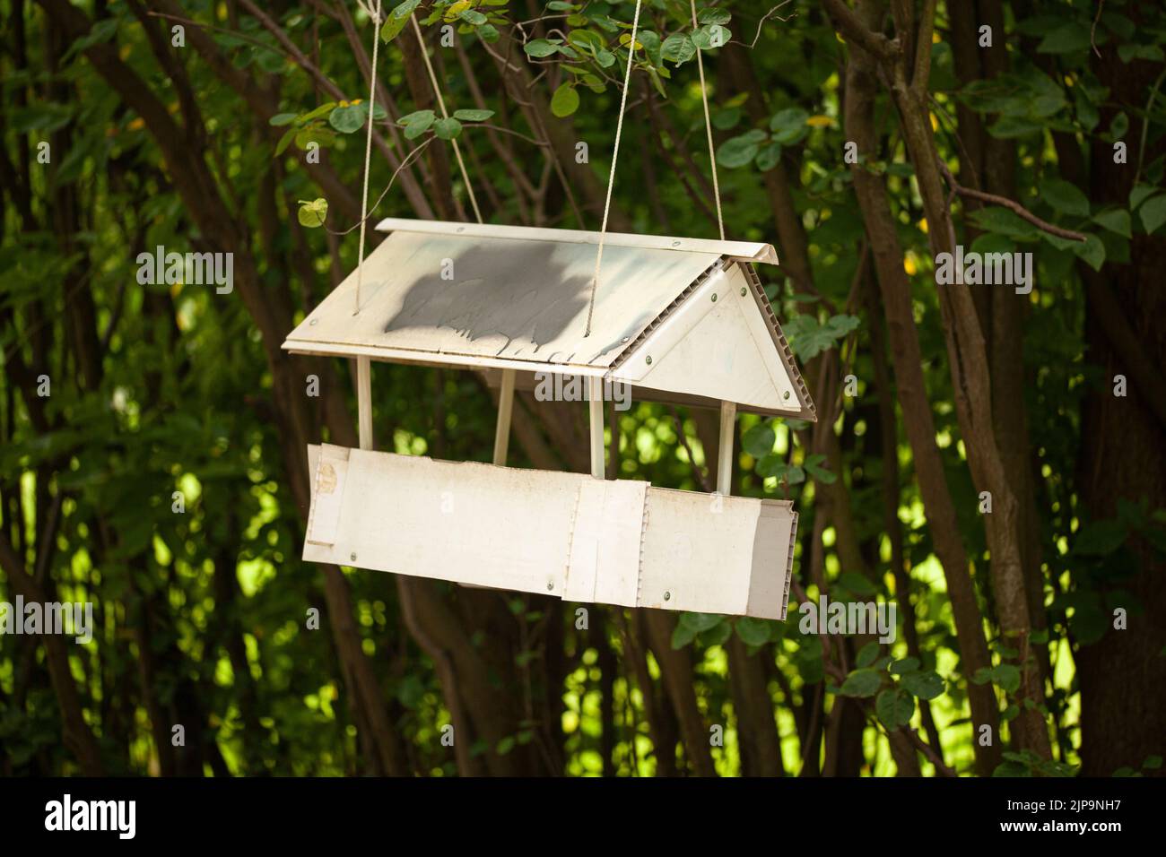 Birdhouses and bird feeder in the forest on a blurry background of ...