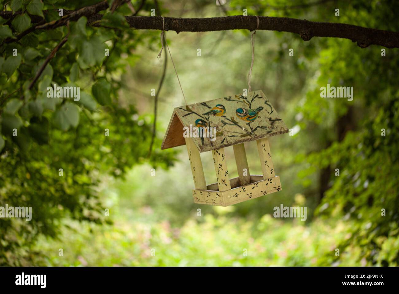 Birdhouses and bird feeder in the forest on a blurry background of ...
