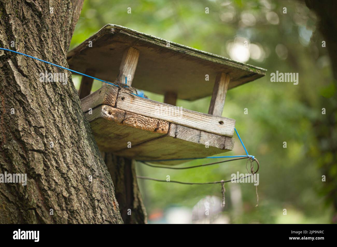 Birdhouses and bird feeder in the forest on a blurry background of ...