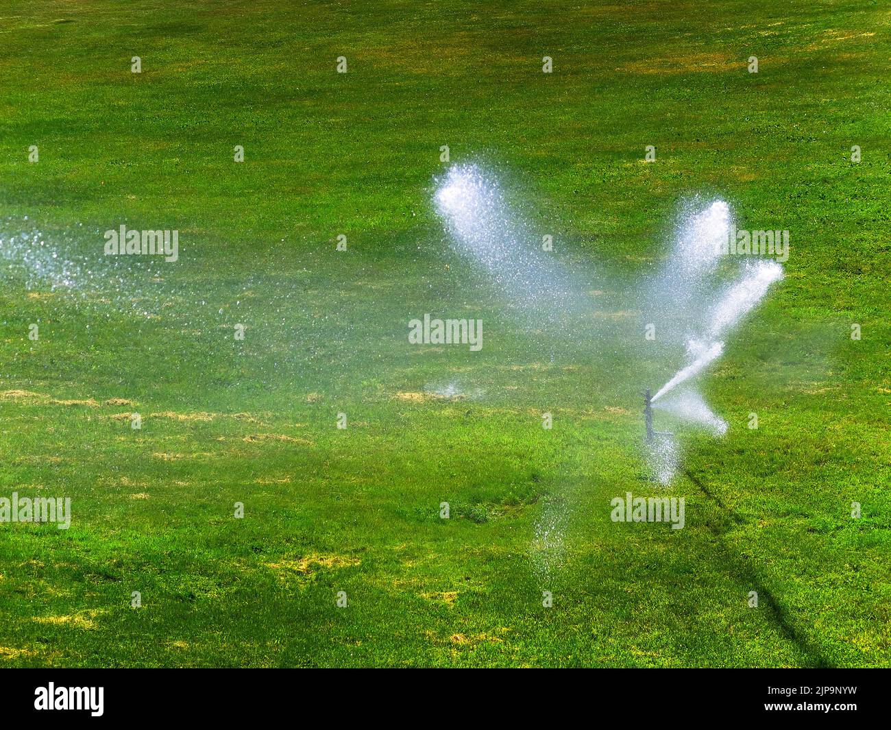 Sprinkler watering grass or lawn with sprays of water drops Stock Photo ...
