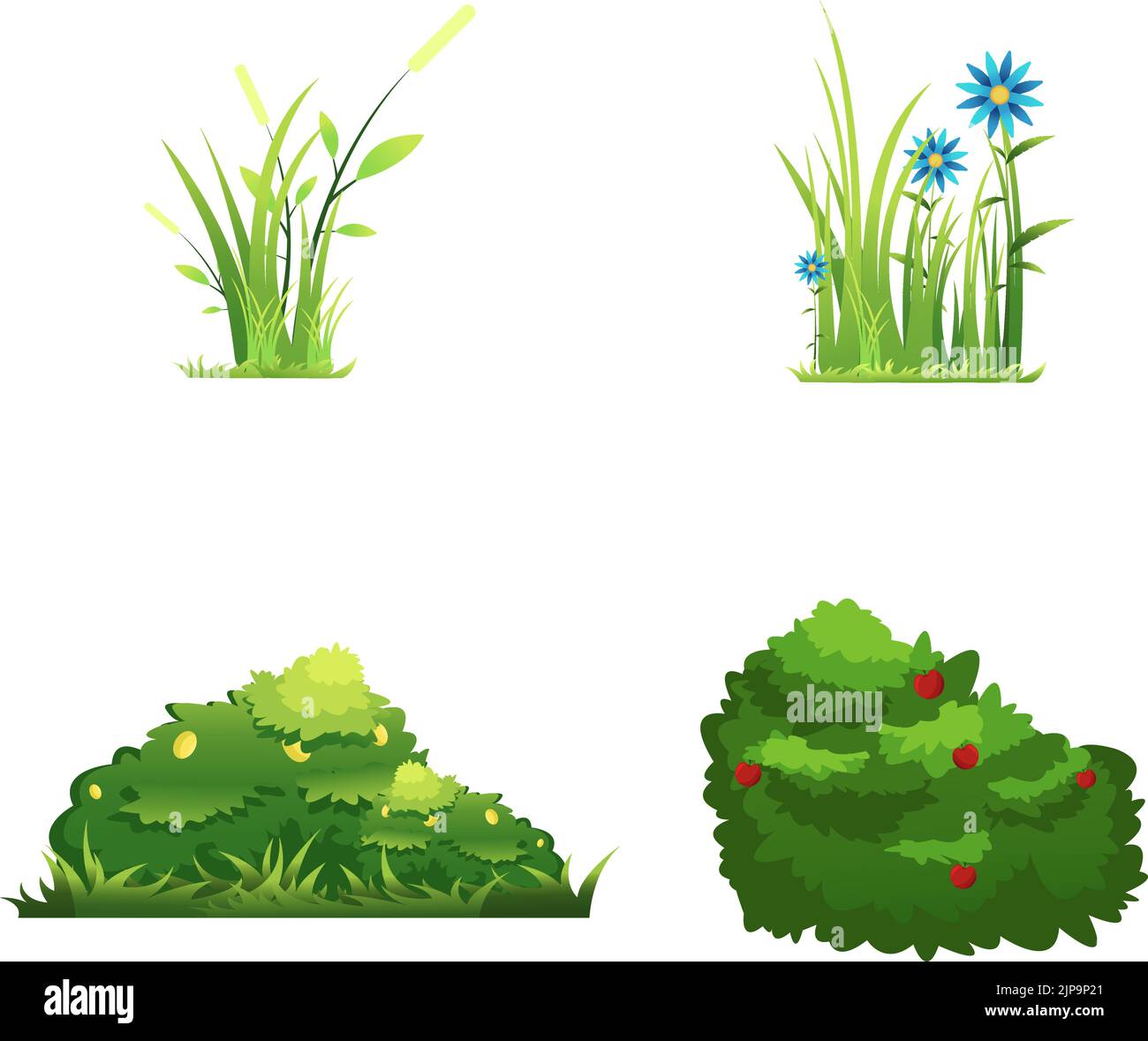 Different, beautiful types of plants on the white background Stock ...