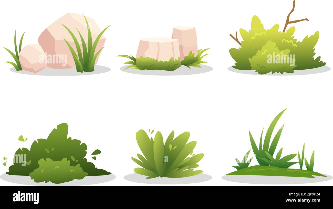 Different, beautiful types of plants on the white background Stock ...
