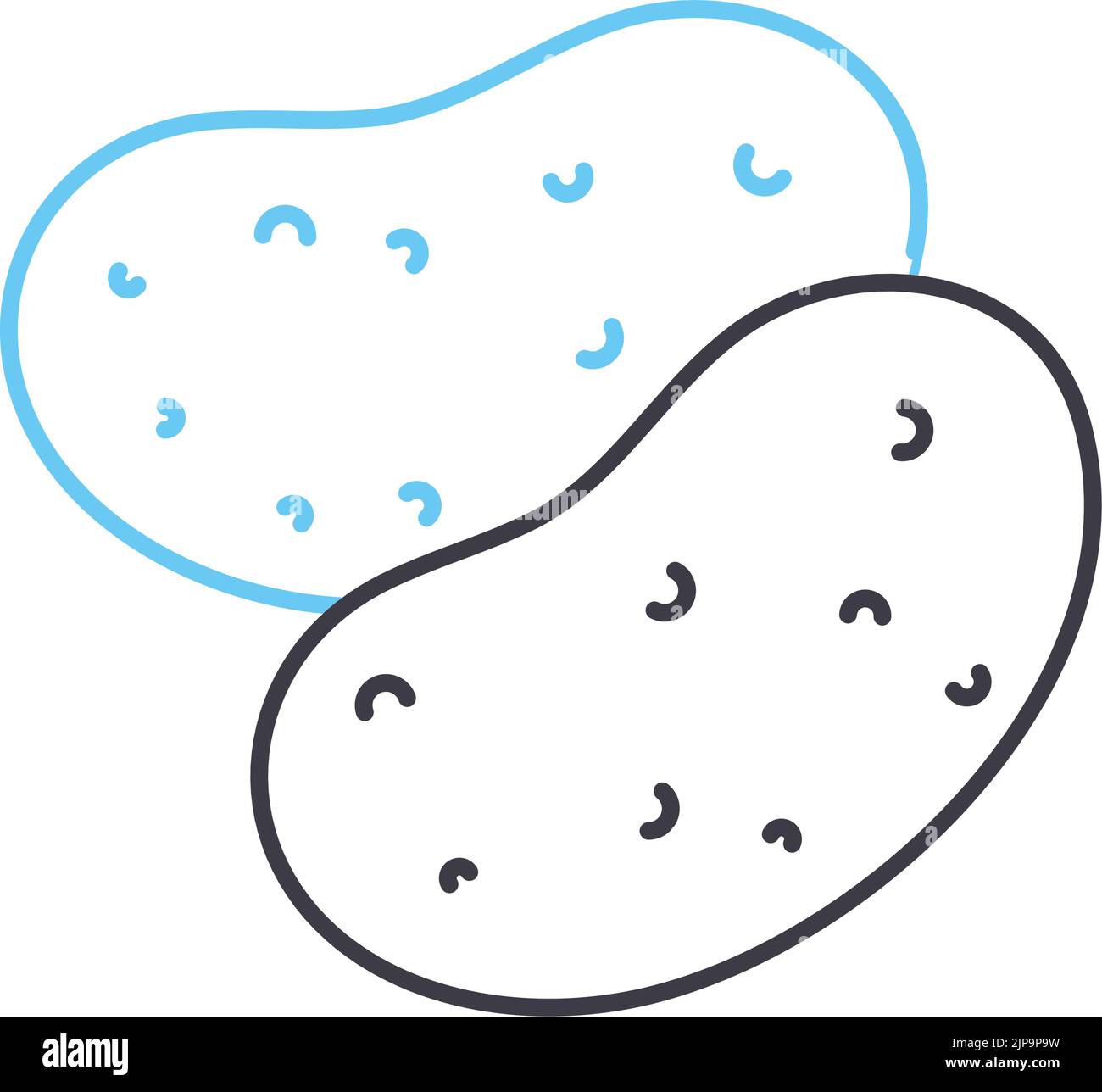 Sweet food potato line Cut Out Stock Images & Pictures - Alamy