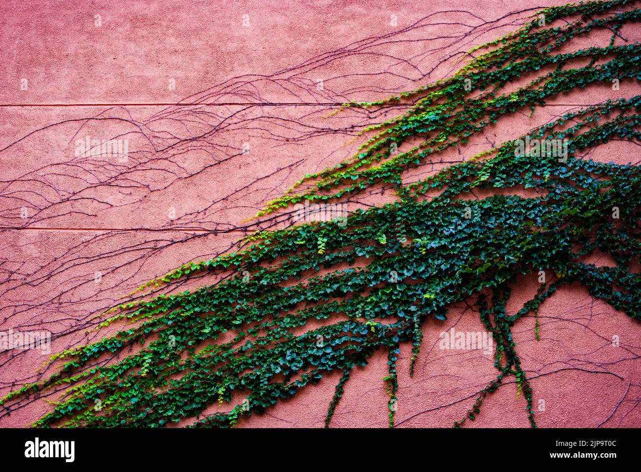 Red climbing wall hi-res stock photography and images - Alamy