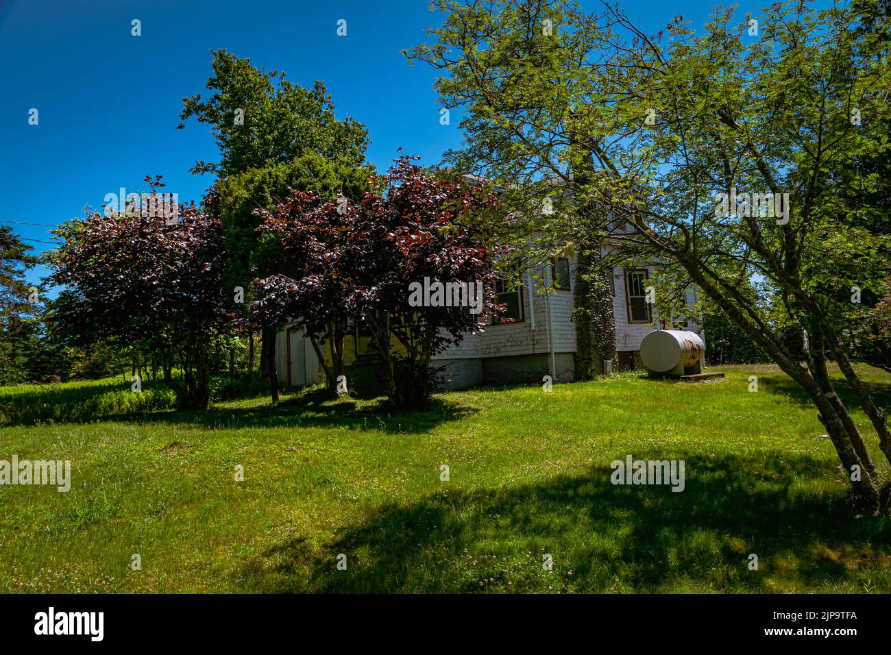 Jack Lynch House on McNabs Island Stock Photo - Alamy