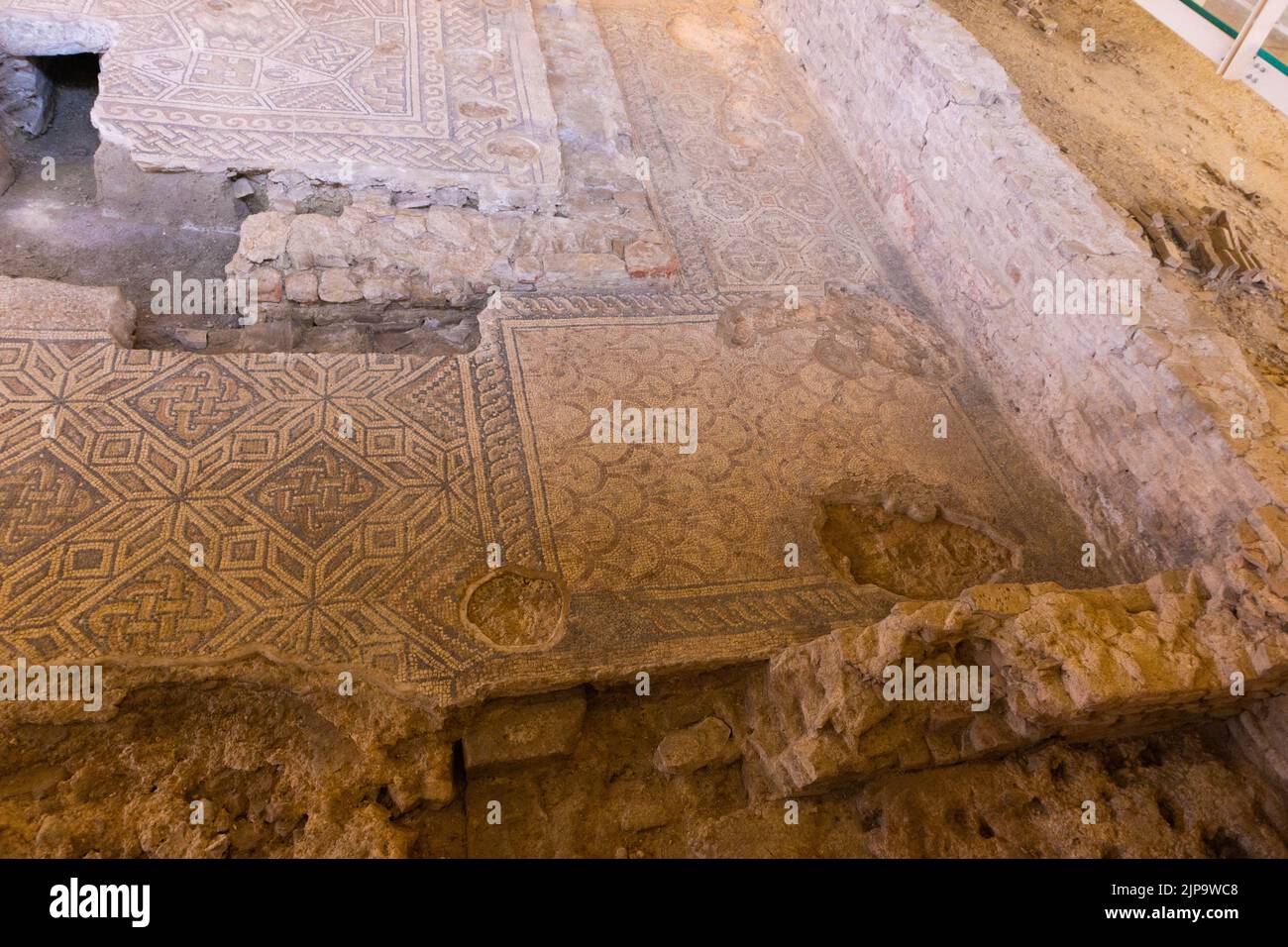 Archaeological excavation mosaics of a Roman house, Domus del Chirurgo ...