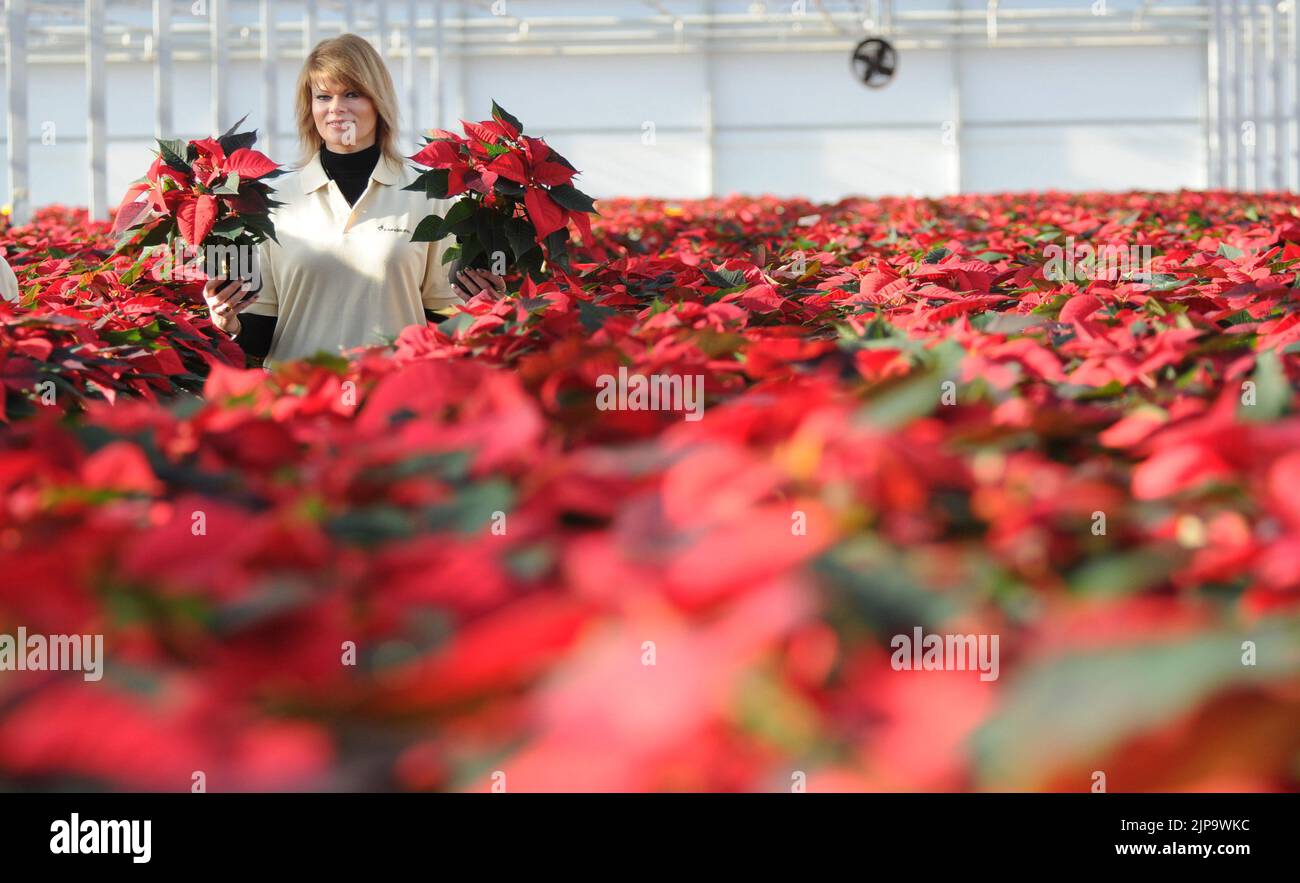 Roundstone nursery hi-res stock photography and images - Alamy