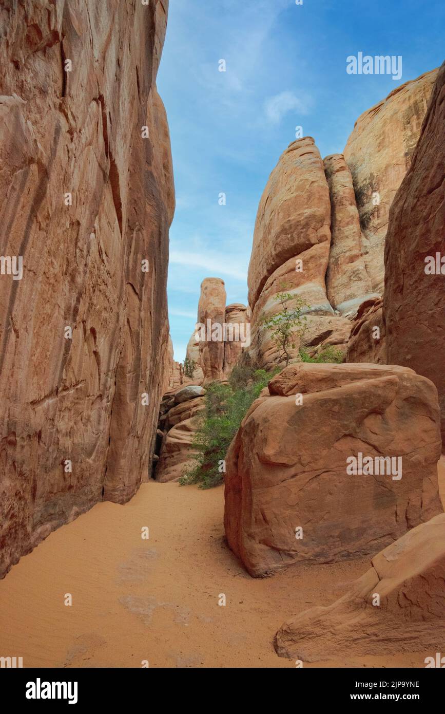 Sand Dune Arch Trail Guide- Arches National Park – LZRNN