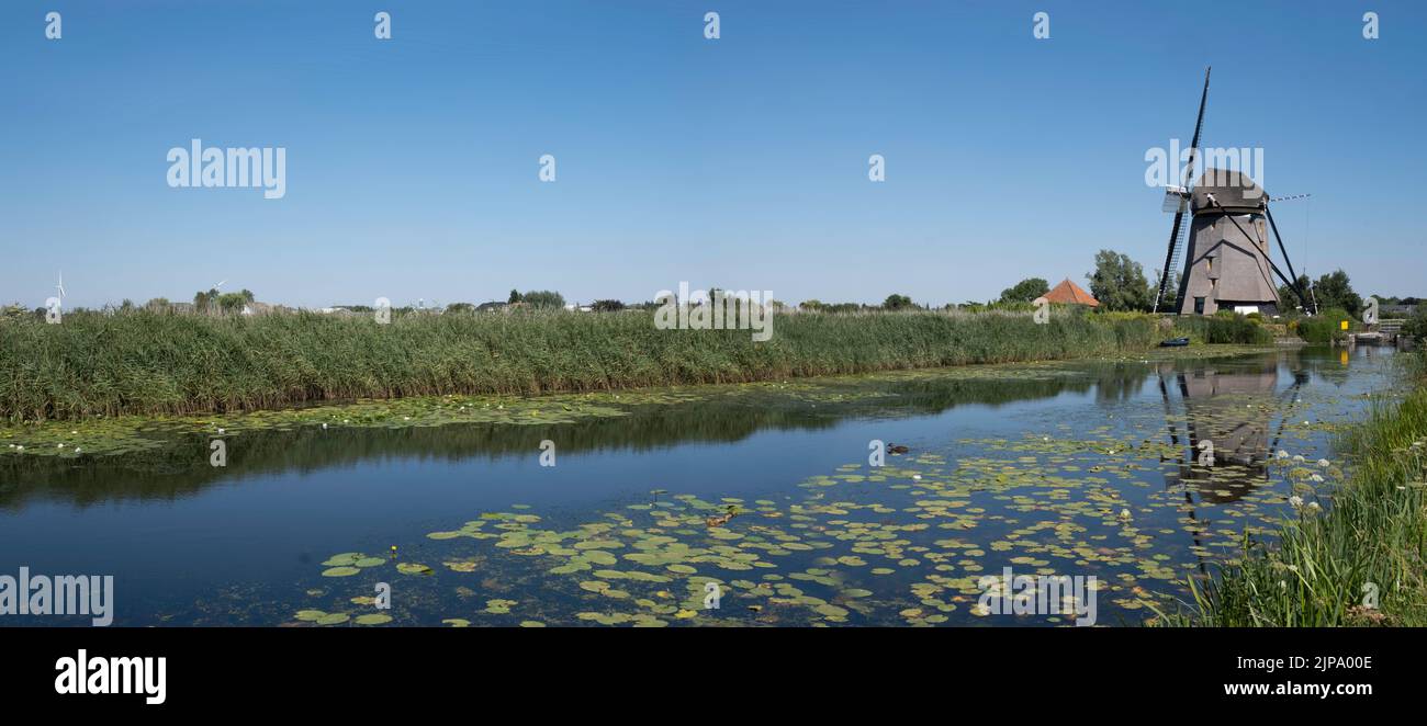 The 'Rietveldse Molen’ is a polder mill near Hazerswoude-Dorp in the ...
