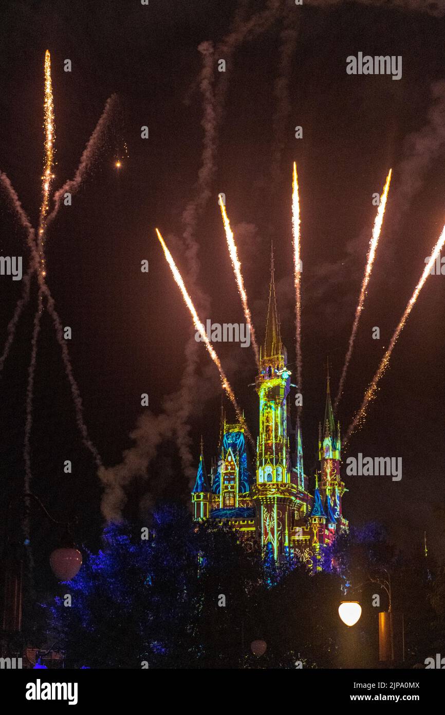 Walt Disney World Resort, Florida, USA, year 2019 Stock Photo - Alamy