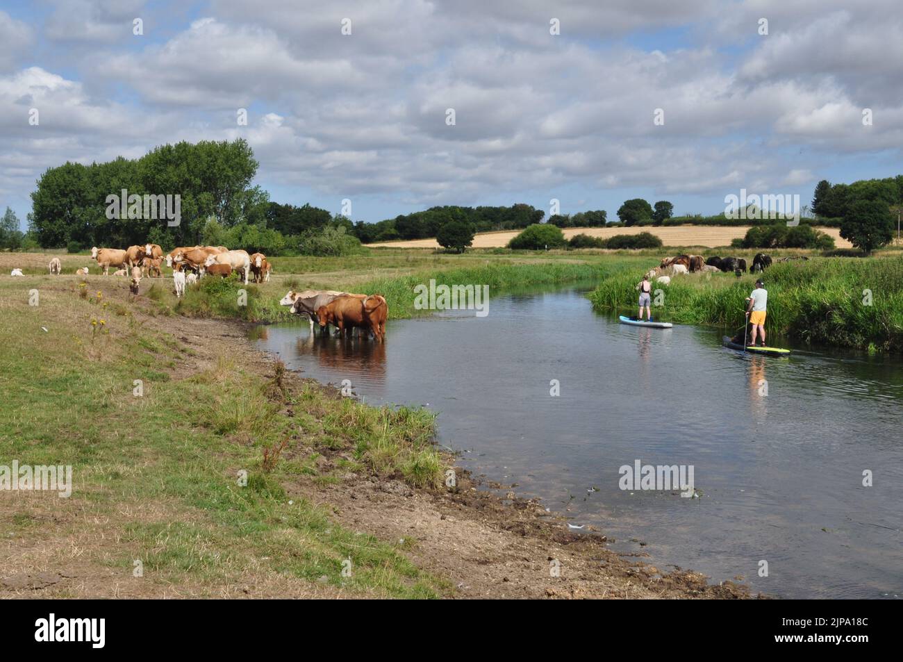 The River Bure at Little Haubois near Coltishall Norfolk, England UK ...