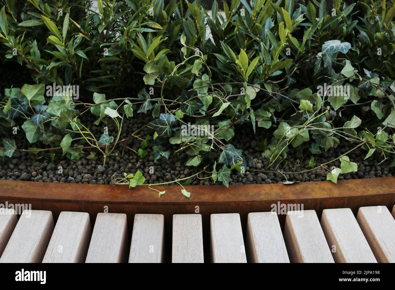 Urban floristic decoration in public space made of ivy and other plants ...