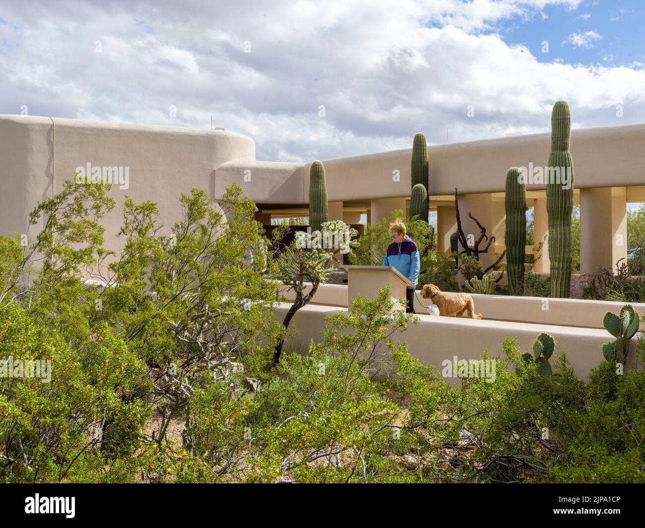 Visitor Center, Saguaro National Park, West Tucson,Arizona, United ...
