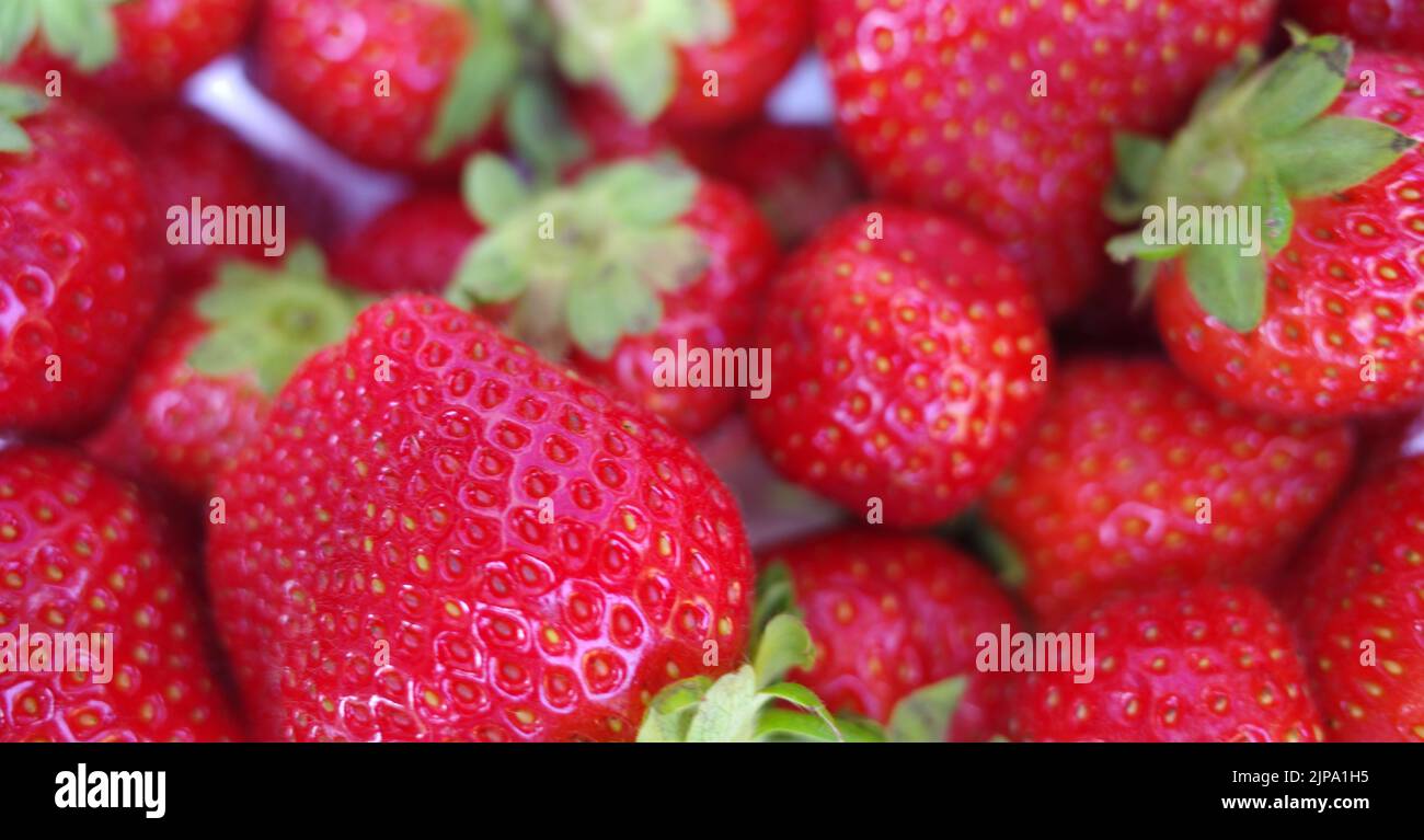 Juicy red strawberries hi-res stock photography and images - Alamy