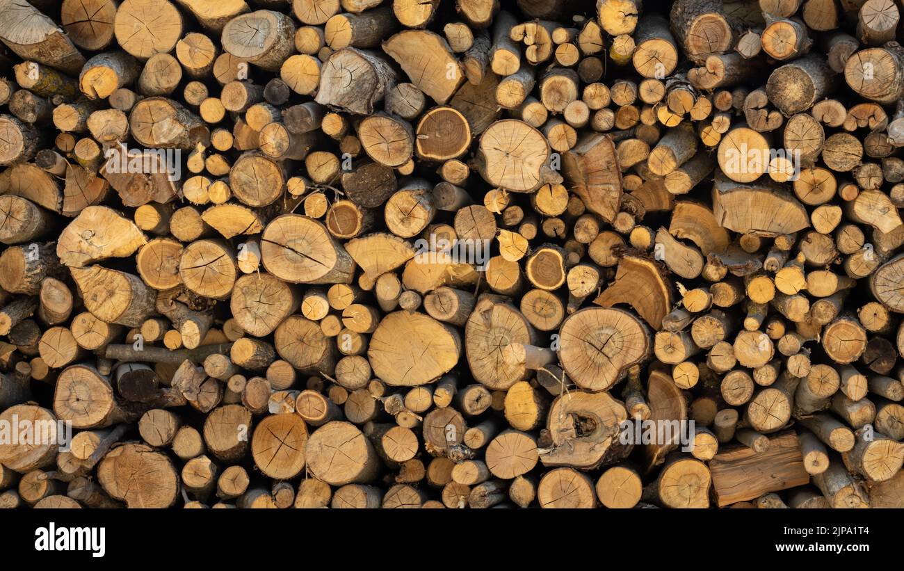 Cross Section Of Tree Trunks Background Cutting Tree Trunks Placed Together For Interior