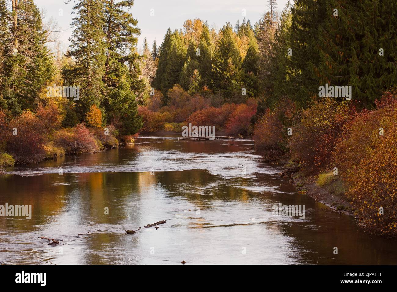 Fall Color in Trees Along Wenatchee River in Pacific Northwest Stock ...