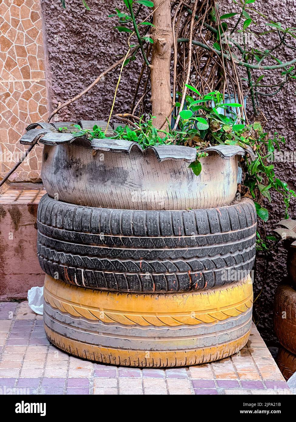 Recycle tyre plant garden hi-res stock photography and images - Alamy