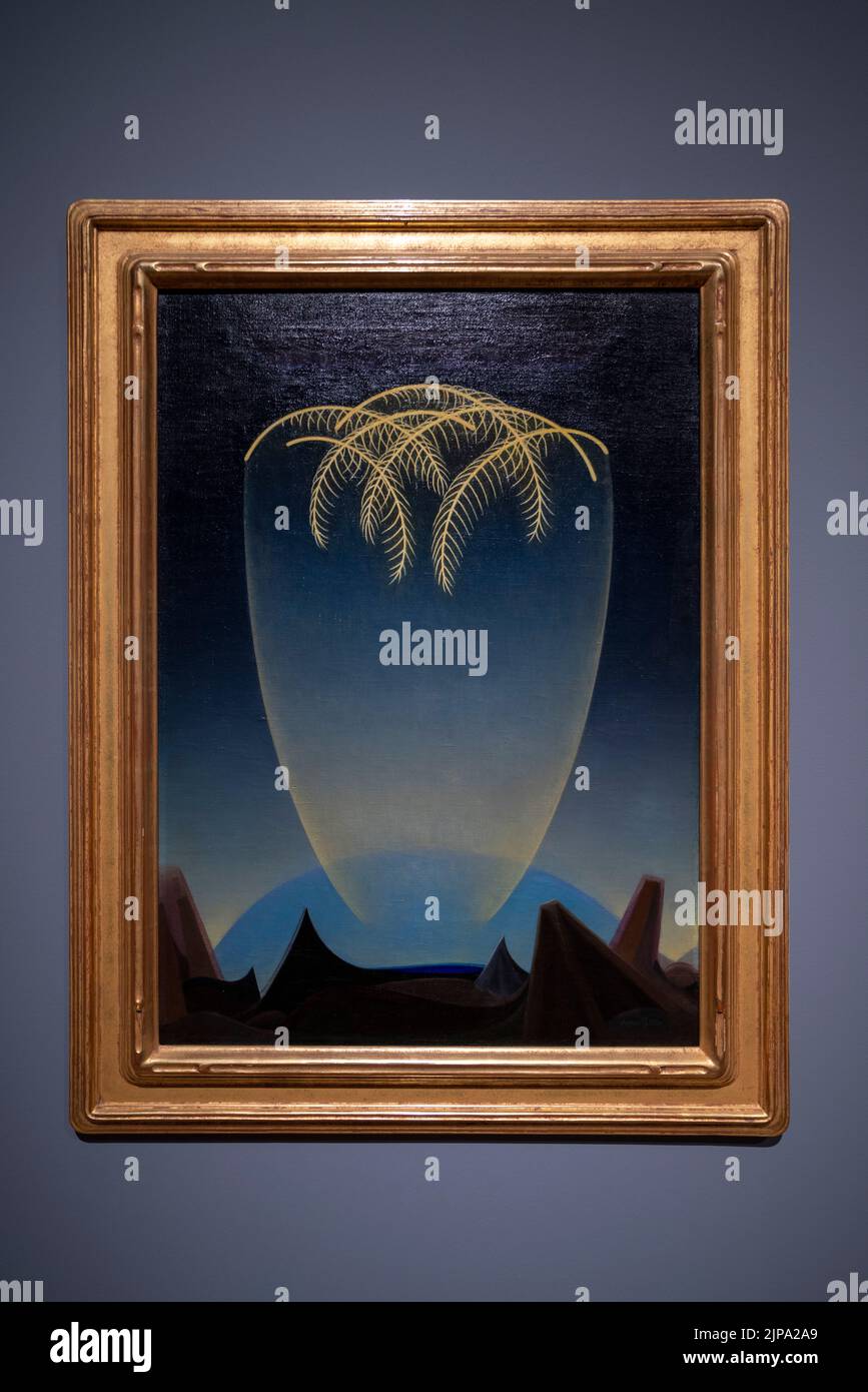 Phoenix Art Museum, Phoenix,Arizona,USA Stock Photo - Alamy