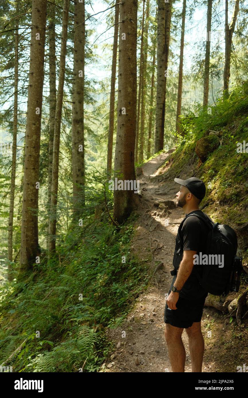 A hiker with cap and black outfit on forest path between trees Stock ...