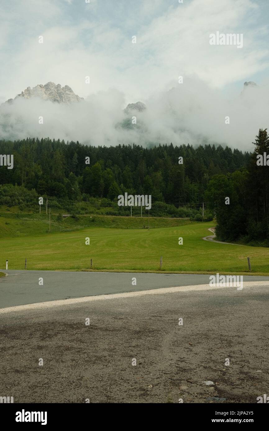 Pathway amidst trees hi-res stock photography and images - Alamy