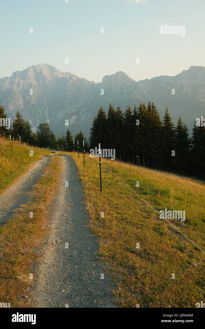 Road amidst nature hi-res stock photography and images - Alamy