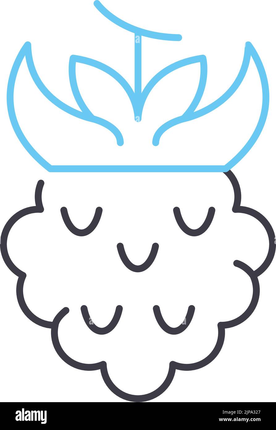 Raspberry pineapple Stock Vector Images - Alamy