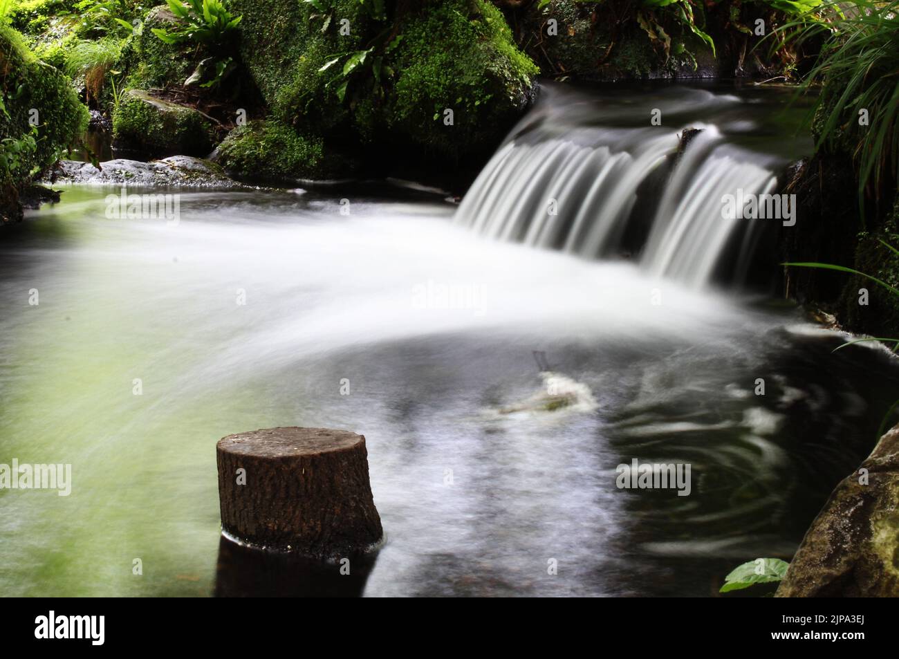 A breathtaking view of waterfall surrounded by lush greenery, long ...