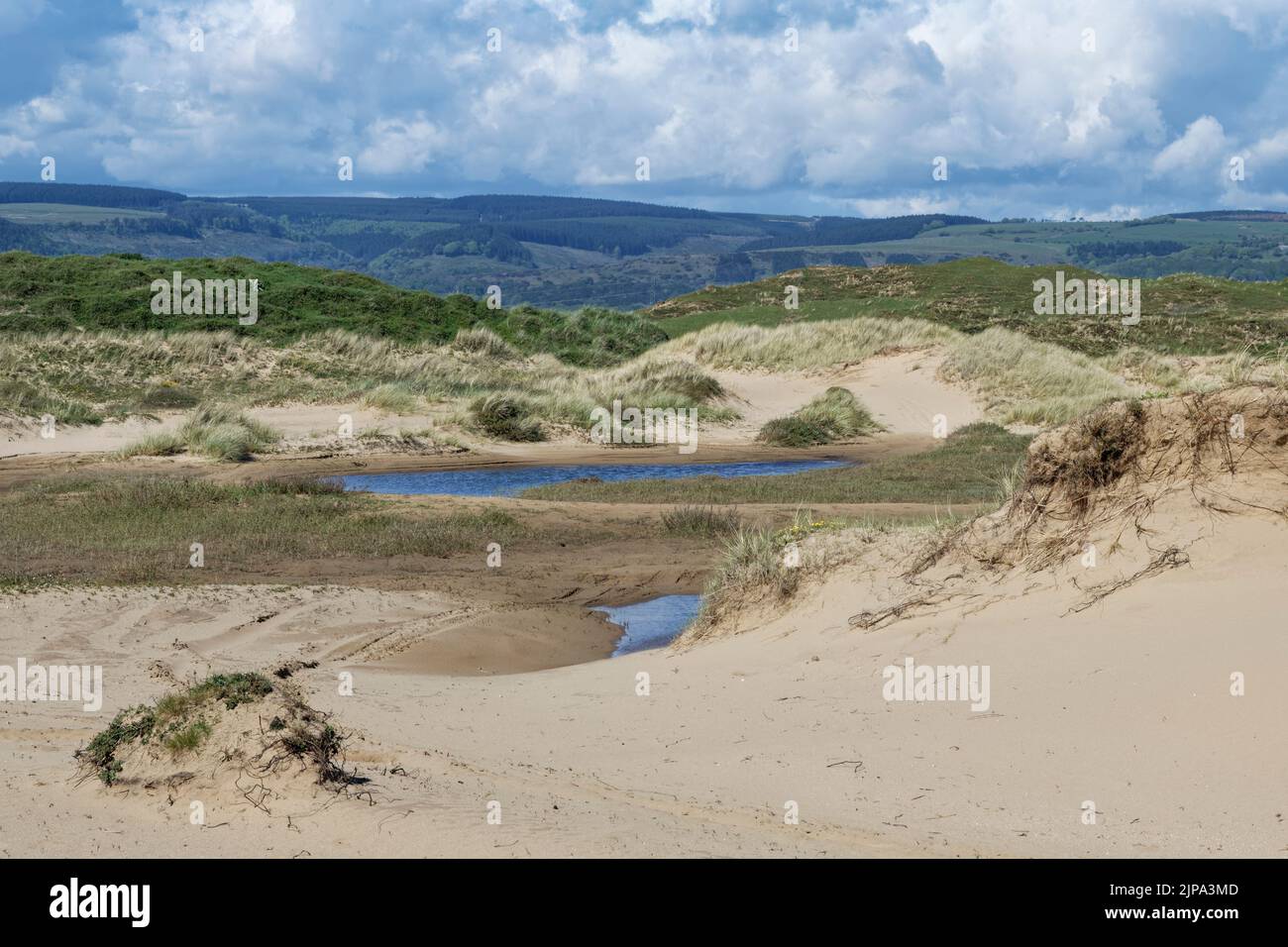 Coastal sand dunes and flooded dune slacks, Kenfig NNR, Glamorgan ...