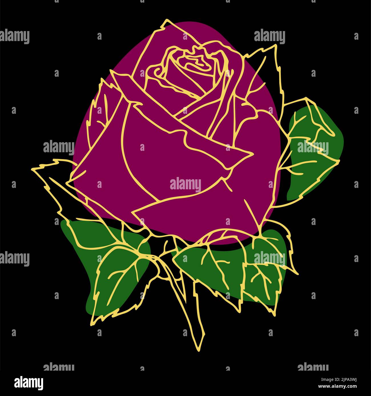 gold contour drawing of a rose flower on a black background and colored ...