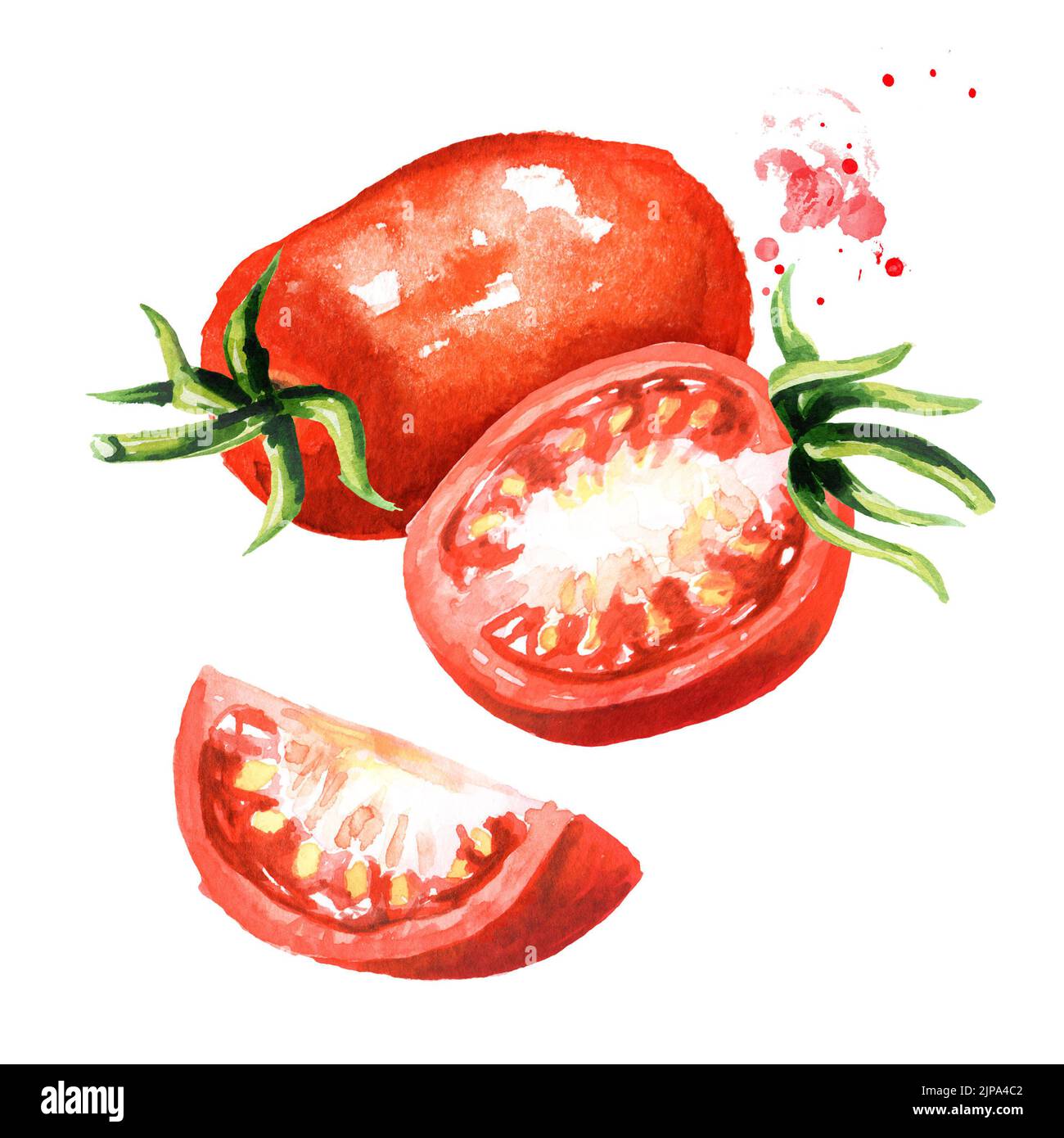 Fresh red cherry tomatoes, Hand drawn watercolor illustration isolated ...