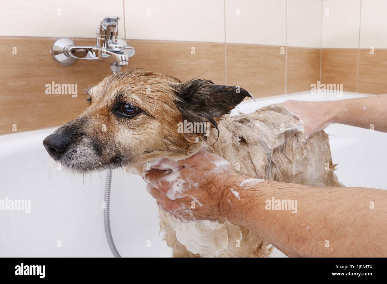 Bath time unhappy hi-res stock photography and images - Alamy