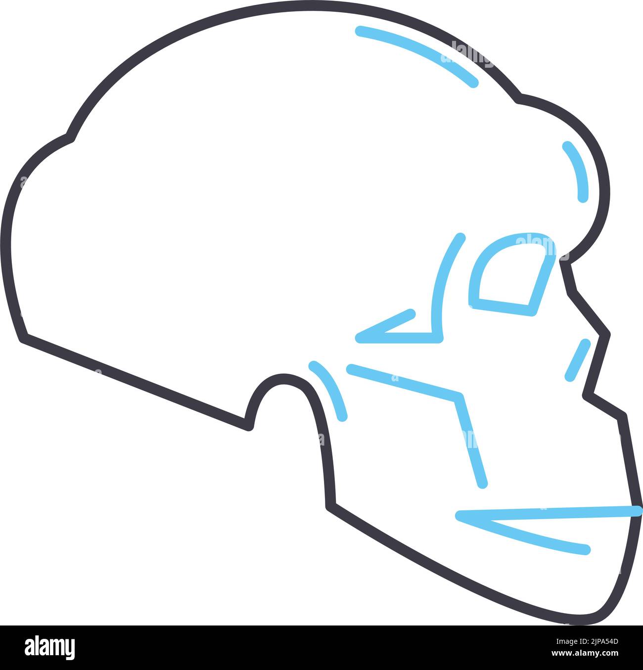 skeleton line icon, outline symbol, vector illustration, concept sign ...