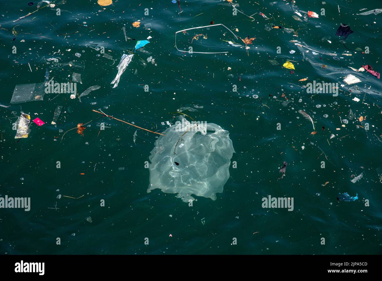 Disposable plastic waste is seen floating on the sea surface in and ...