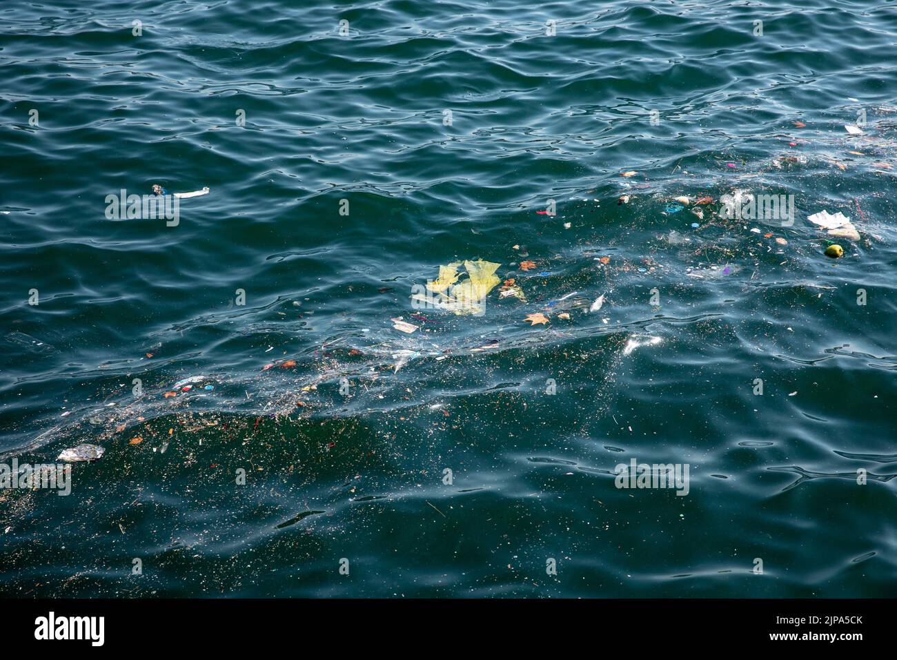 Disposable plastic waste is seen floating on the sea surface in and ...