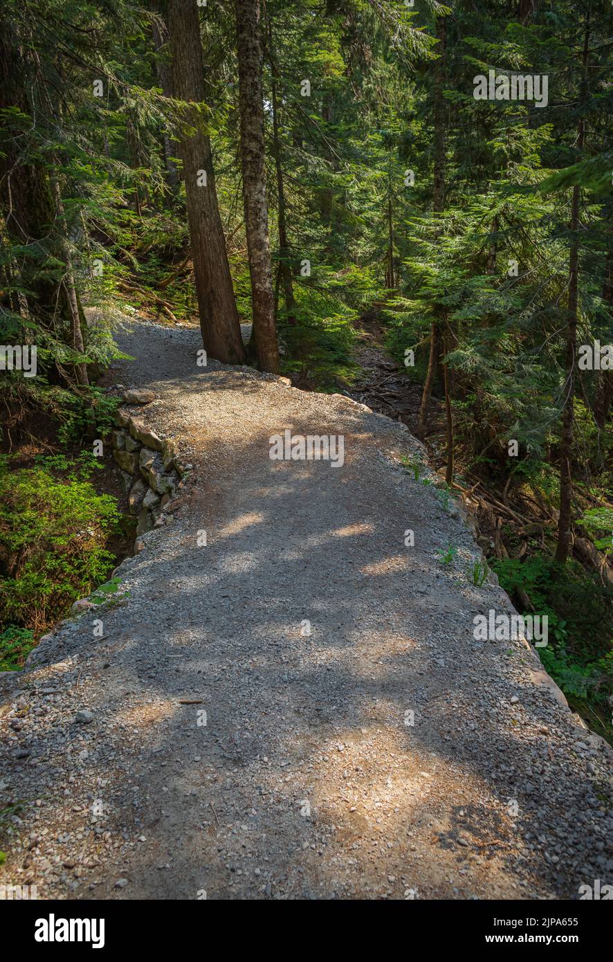Pathway in an old forest park. A real beautiful walkway trough nature ...