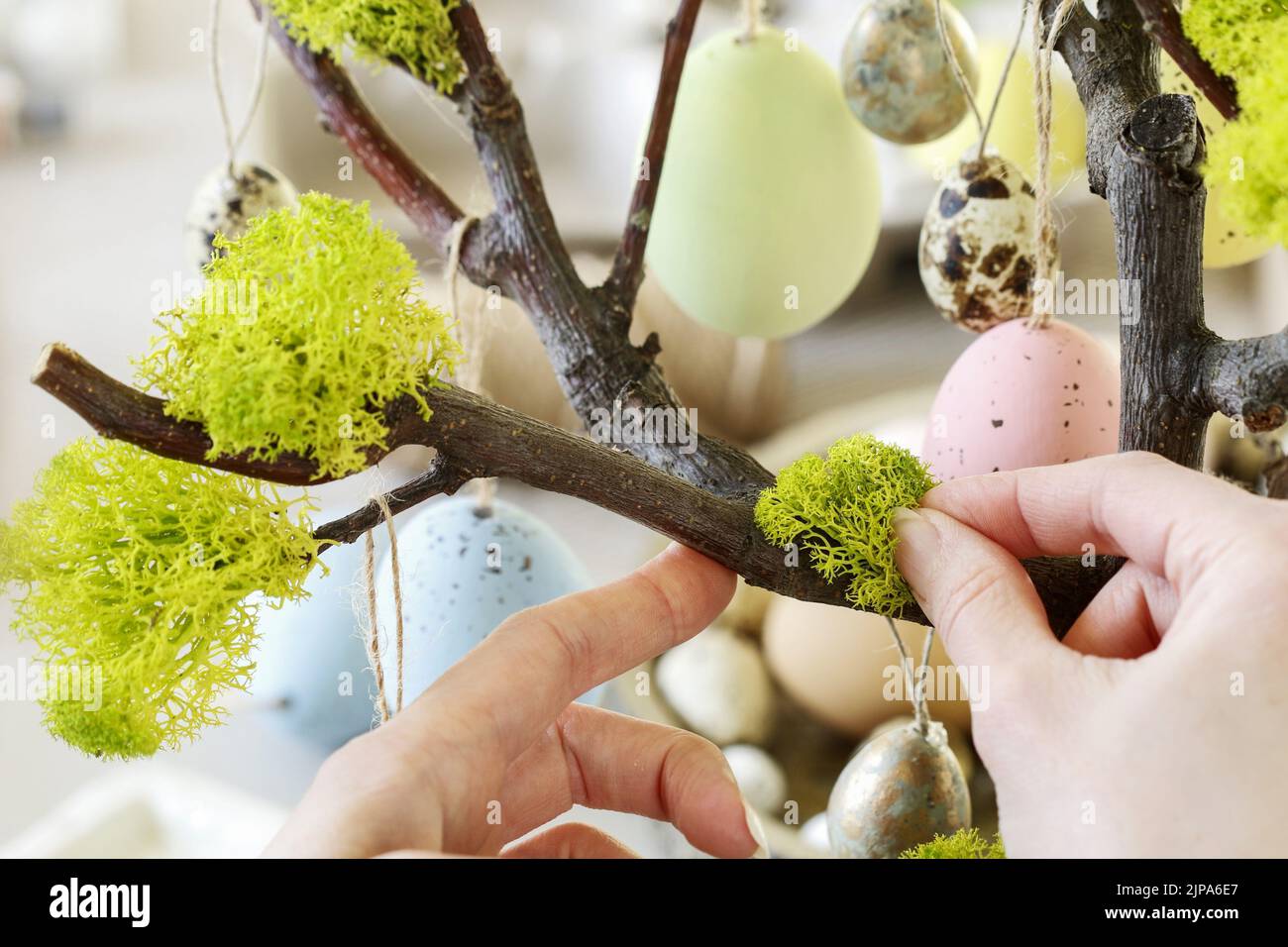 Florist at work: woman shows how to make Easter decoration in tree ...