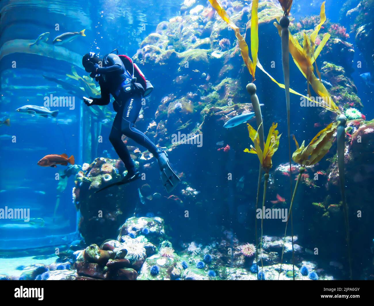 Clean tank hi-res stock photography and images - Alamy