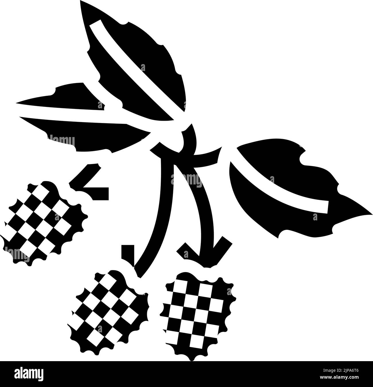 raspberry plant delicious glyph icon vector illustration Stock Vector ...