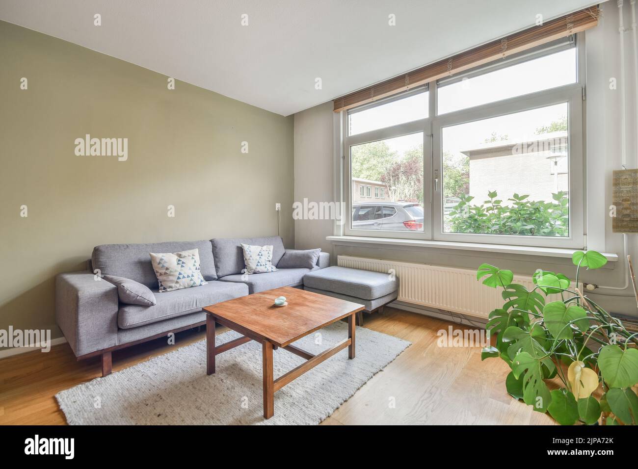 Simple expensive interior of living room with carpet and beige sofa ...