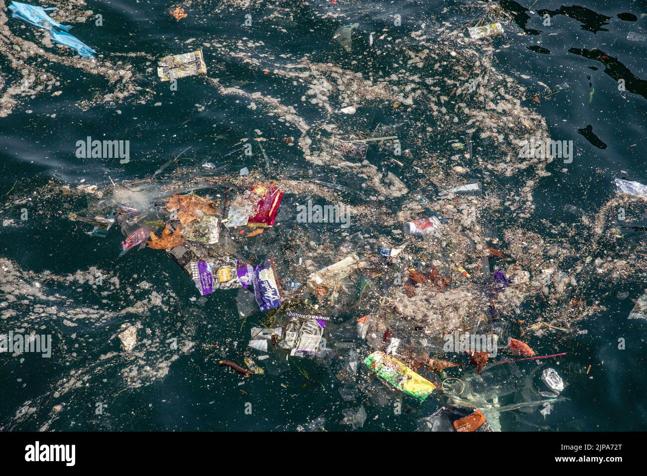Istanbul, Turkey. 16th Aug, 2022. Disposable plastic waste is seen ...